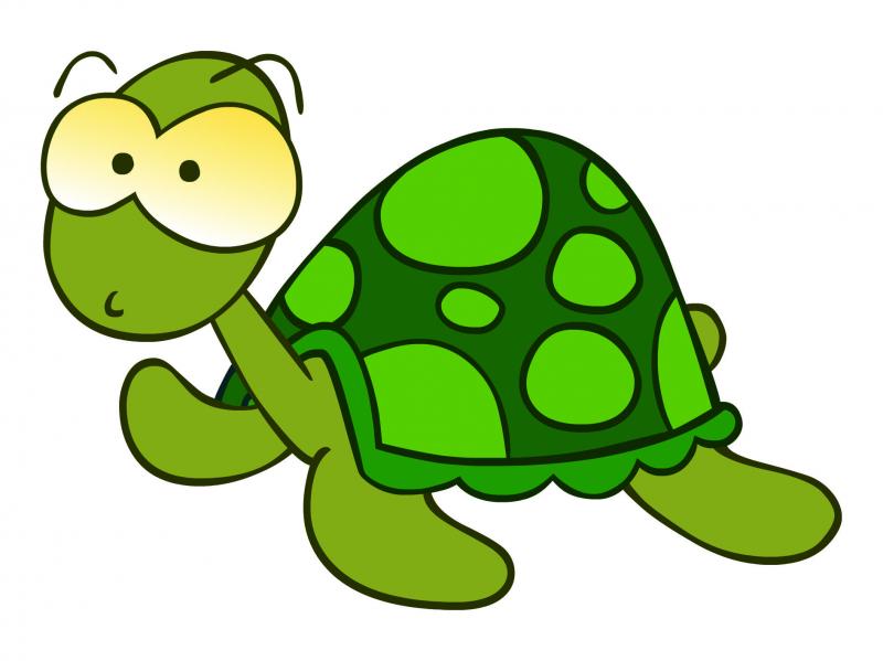Imagenes de tortugas animadas a color - Imagui