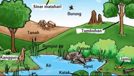 Penjelasan Tentang Komponen Biotik Biologi Indonesia - Riset