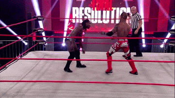 Ultimate Wrestling Gifs: