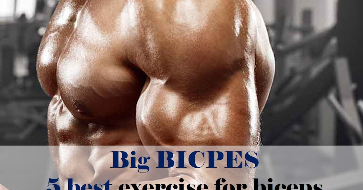 Bigger Biceps : 5 best exercise for big biceps