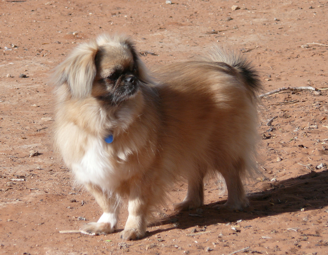 Maren Phillips: GOING PLACES