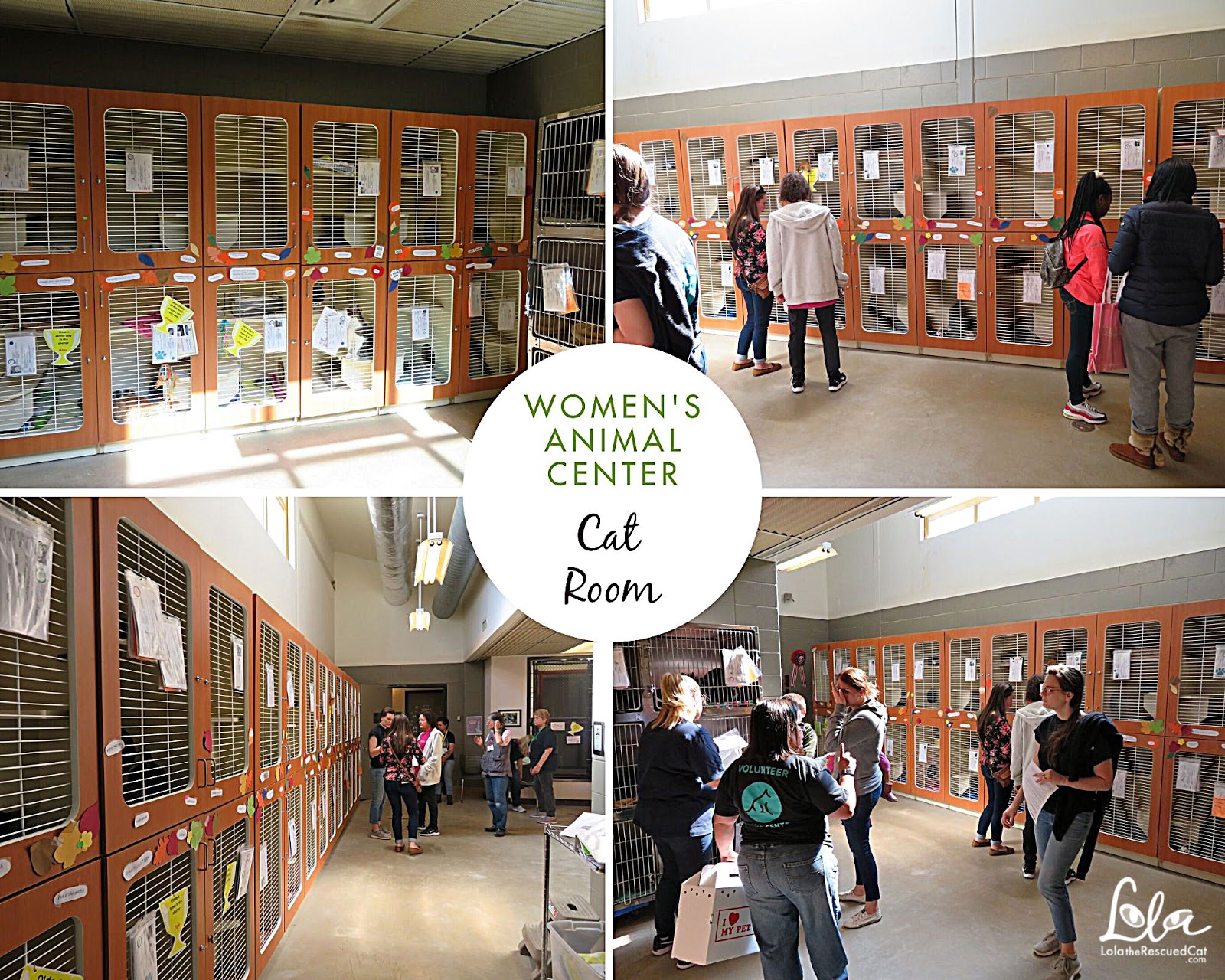 Women's Animal Center - America's First Animal Shelter! | Lola The ...