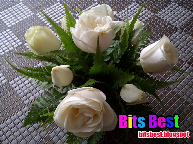 Bits Best: Tutorial Gubahan Bunga Ros