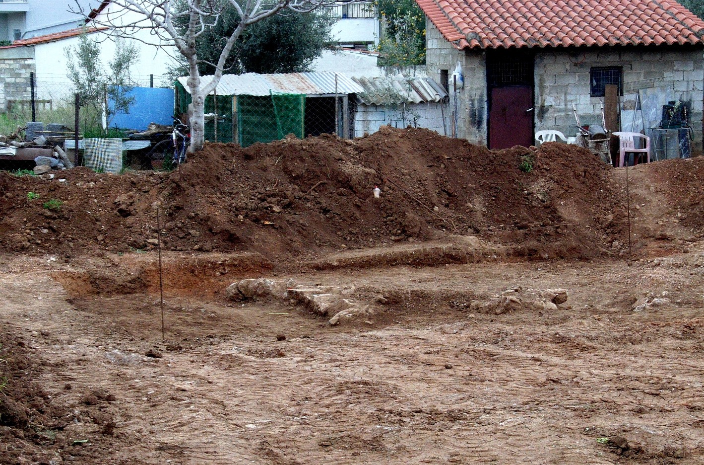 ΜΑΘΗΤΙΚΗ ΠΑΡΡΗΣΙΑ: ΜΑΝΙΚΑ ΧΑΛΚΙΔΑΣ