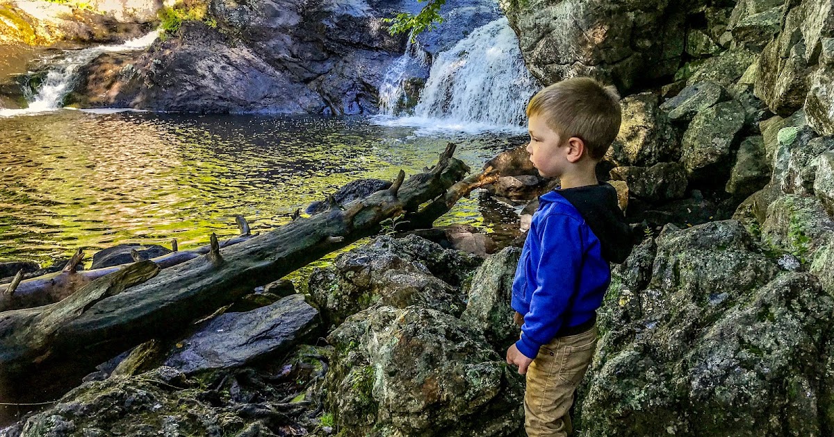 The Freelance Adventurer : WM Gonic Trails - River Views and Waterfalls