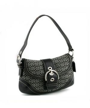 Small coach handbags