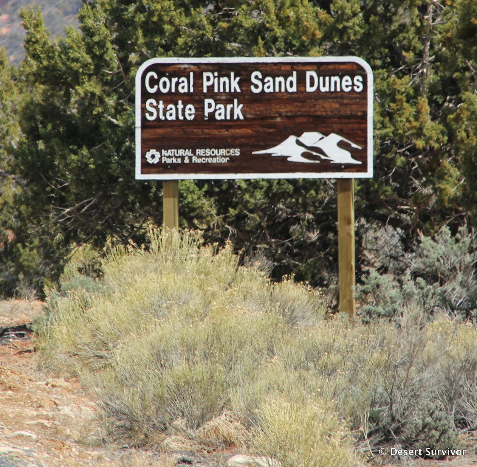 Desert Survivor: Fifteen Things To Do at Coral Pink Sand Dunes State Park