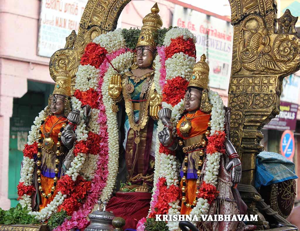 Krishna Vaibhavam: Chithirai Hastham Varadhar Purappadu | Triplicane ...