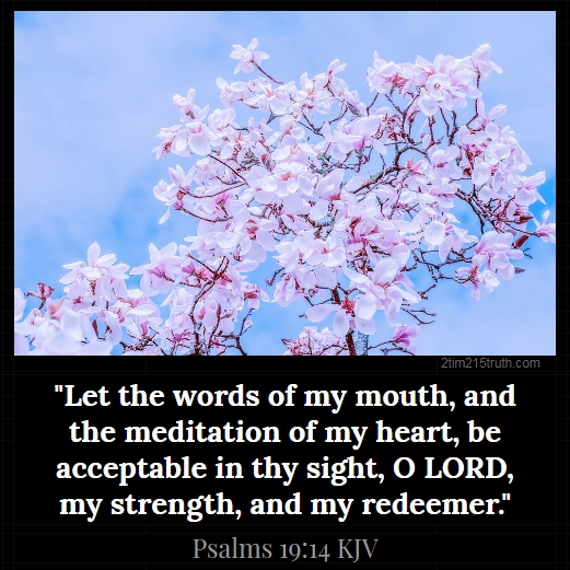 2 Timothy 2 15 Truth Verse Of The Day Psalms 19 14 KJV 2-timothy-2-15-truth-verse-of-the-day-psalms-19-14-kjv