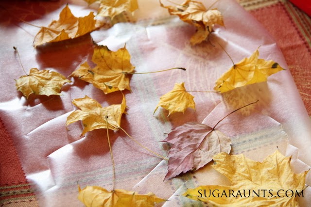 Leaves Craft and Fall Leaf Books - The OT Toolbox