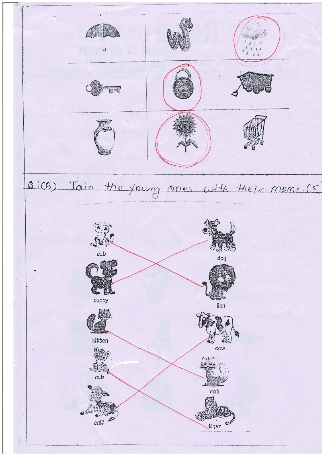 Jr K.G Final Exam paper G.K