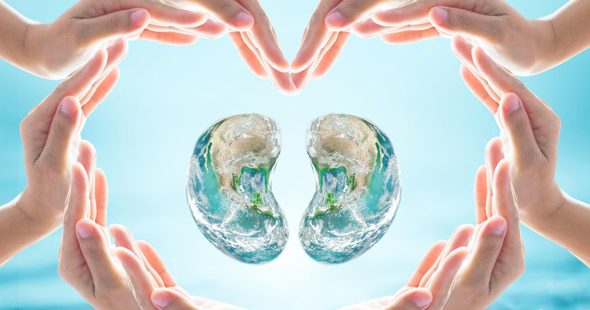 traitement de l'insuffisance rénale: Est-ce que IRC au stade 3 encore ...