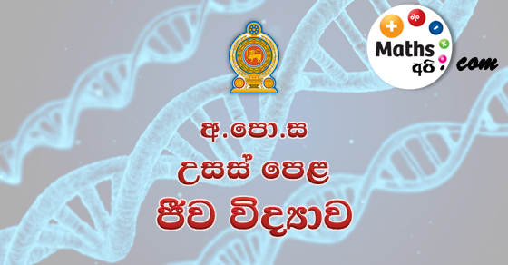 G.C.E. Advanced Level (A/L) Model Papers and Answers Sinhala Medium ...