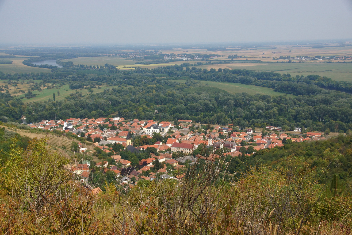 Kopasz-hegy, Tokaj - Kósza Krónikák - Túra, utazás, felfedezés, kaland ...
