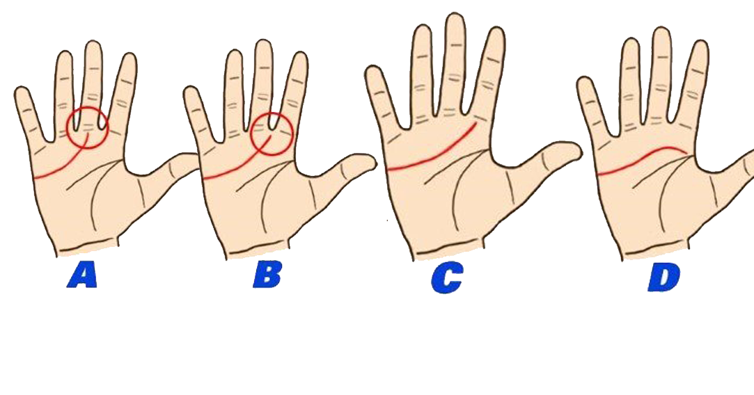 Right back your right hand, and look at what is your right hand, and ...