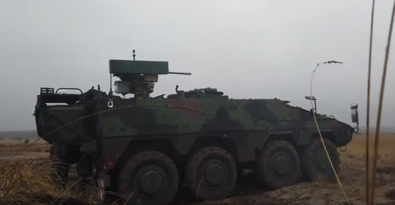 BLABLACHARS: BOXER NEERLANDAIS CHERCHE RWS