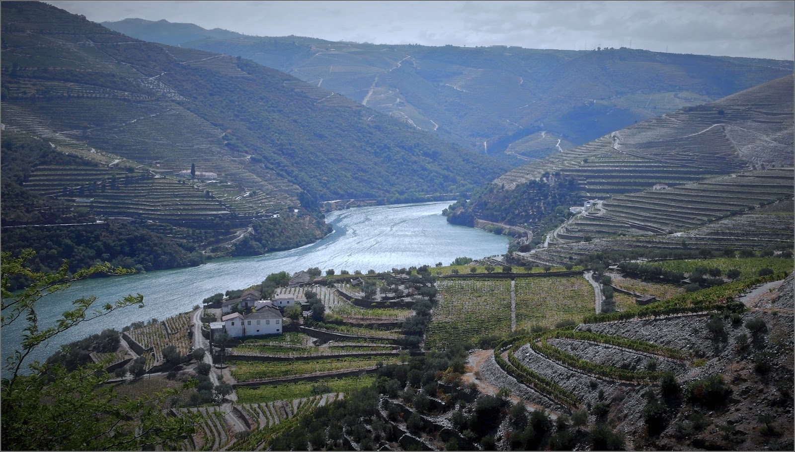 Alcino Sousa: Douro - Covas do Douro (Sabrosa) | 2009