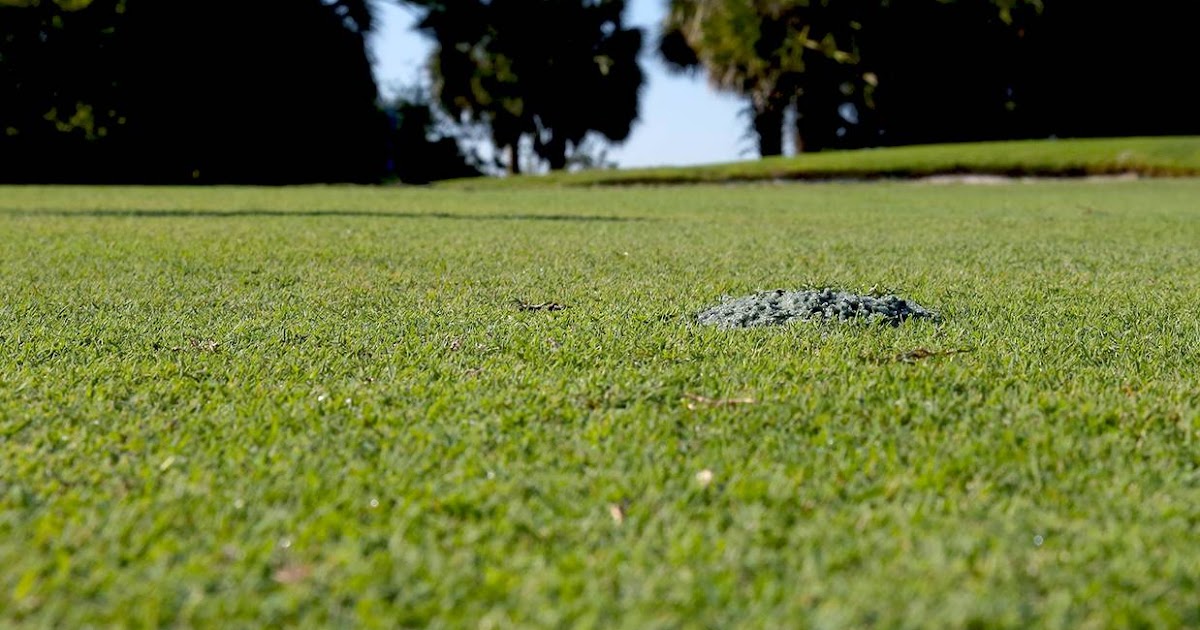 Free Association: Replace Your Divots