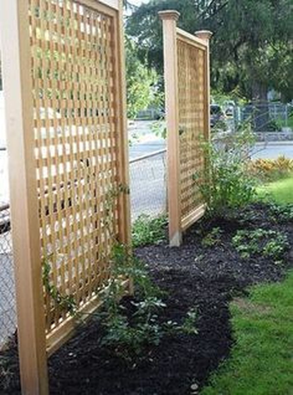 40+ Popular Diy Backyard Privacy Screen Design Ideas To Have It Today ...