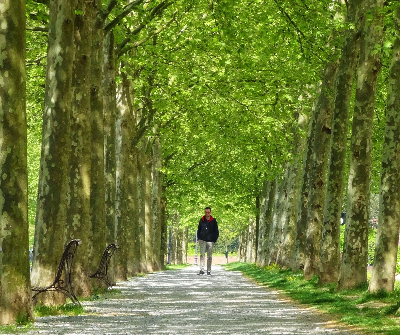 Joe's Retirement Blog: Random Sights, Lucca, Tuscany, Italy