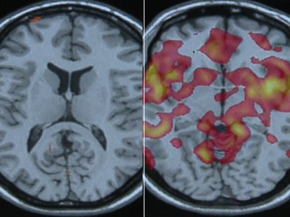 Philosophical Disquisitions: Schauer on (fMRI) Lie Detection in the Law ...