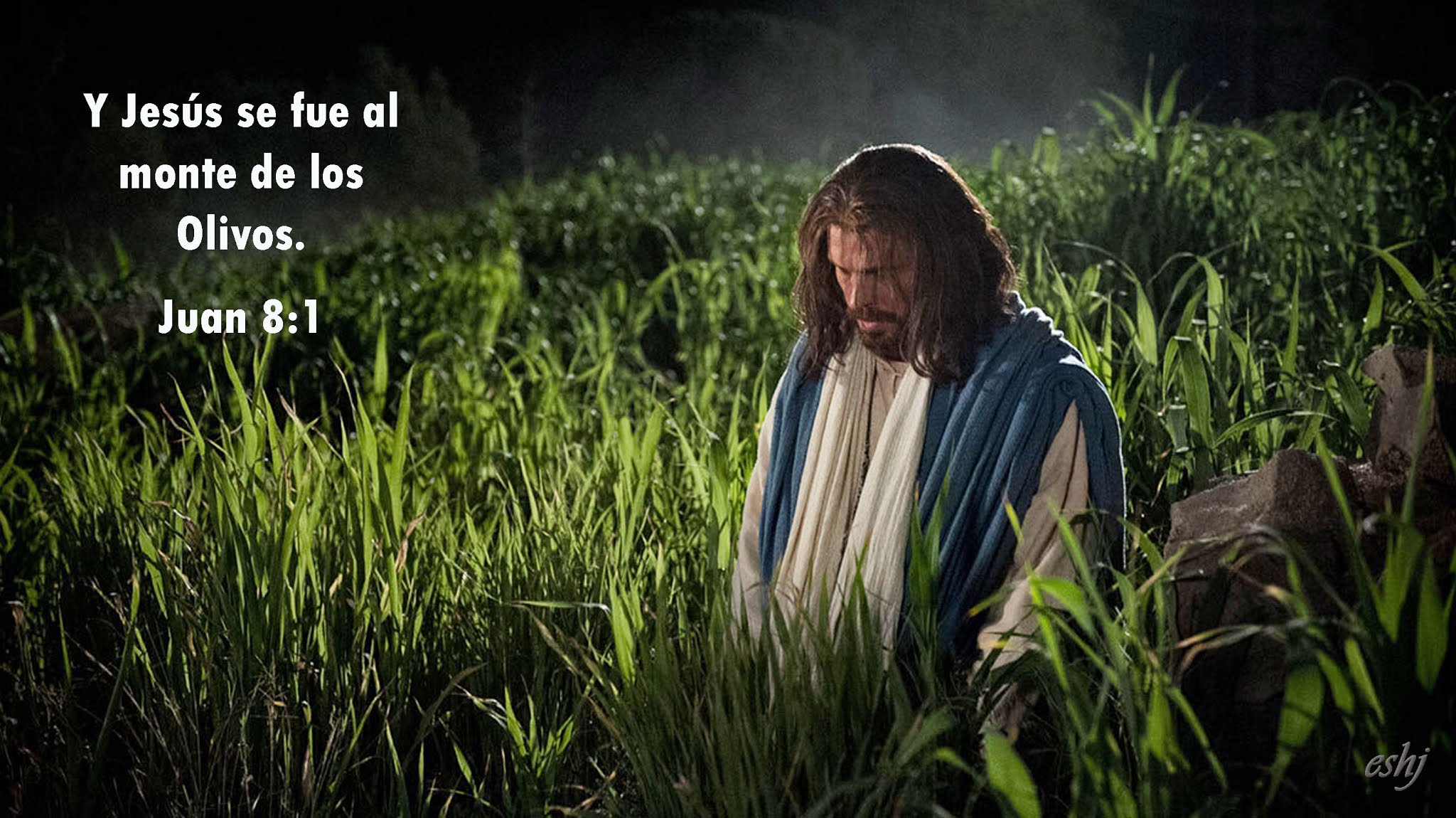 CBA LIBRO DE JUAN CAPÍTULO 8