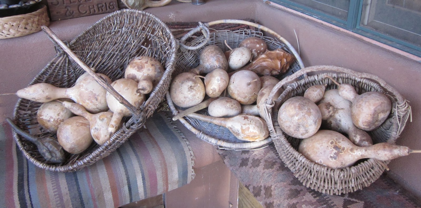 Seed Revolution Now!: 2013