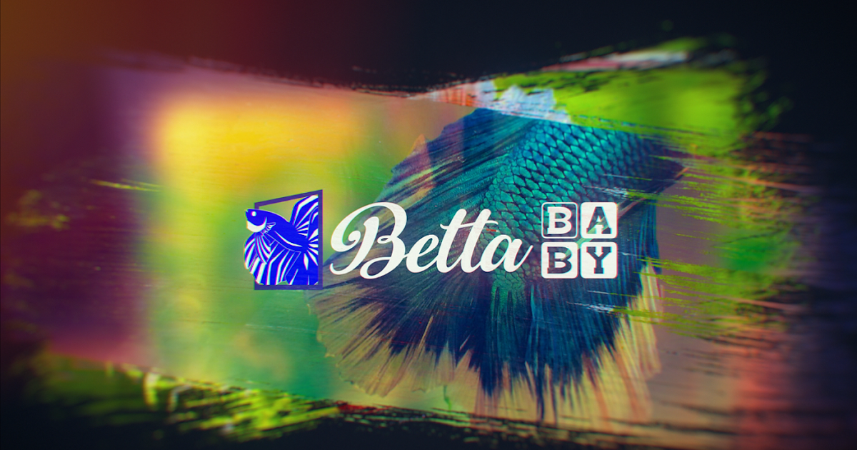 Bumper Video Foto Brush - Jasa Intro Video - Bumper Opening Youtube