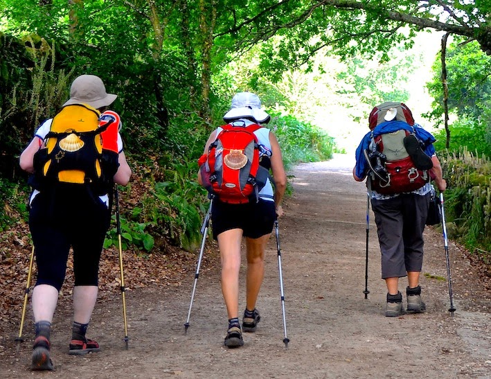 El Camino de Santiago desde Asturias: "La concha de Vieira como símbolo ...