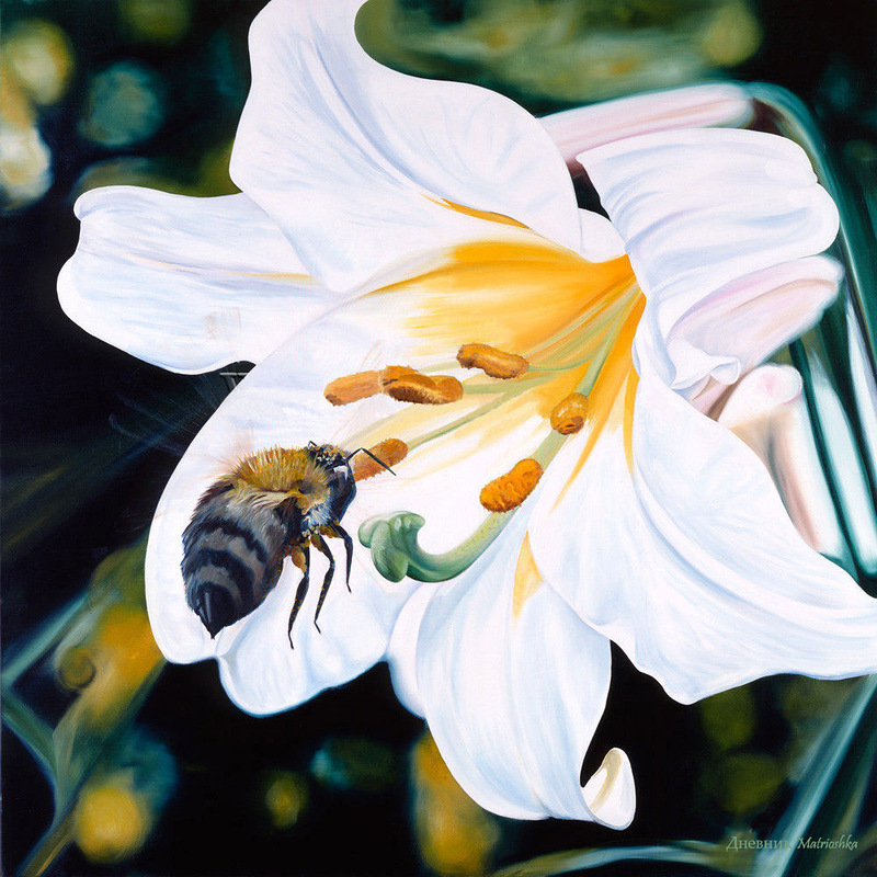 Коллекция картинок: Чудные цветы художника James Knowles