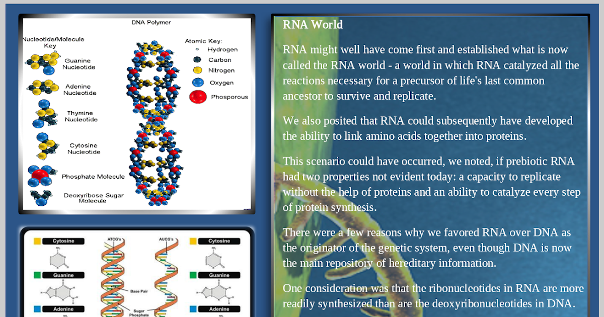 WikiGraphics Collection: RNA before DNA World Hypothesis