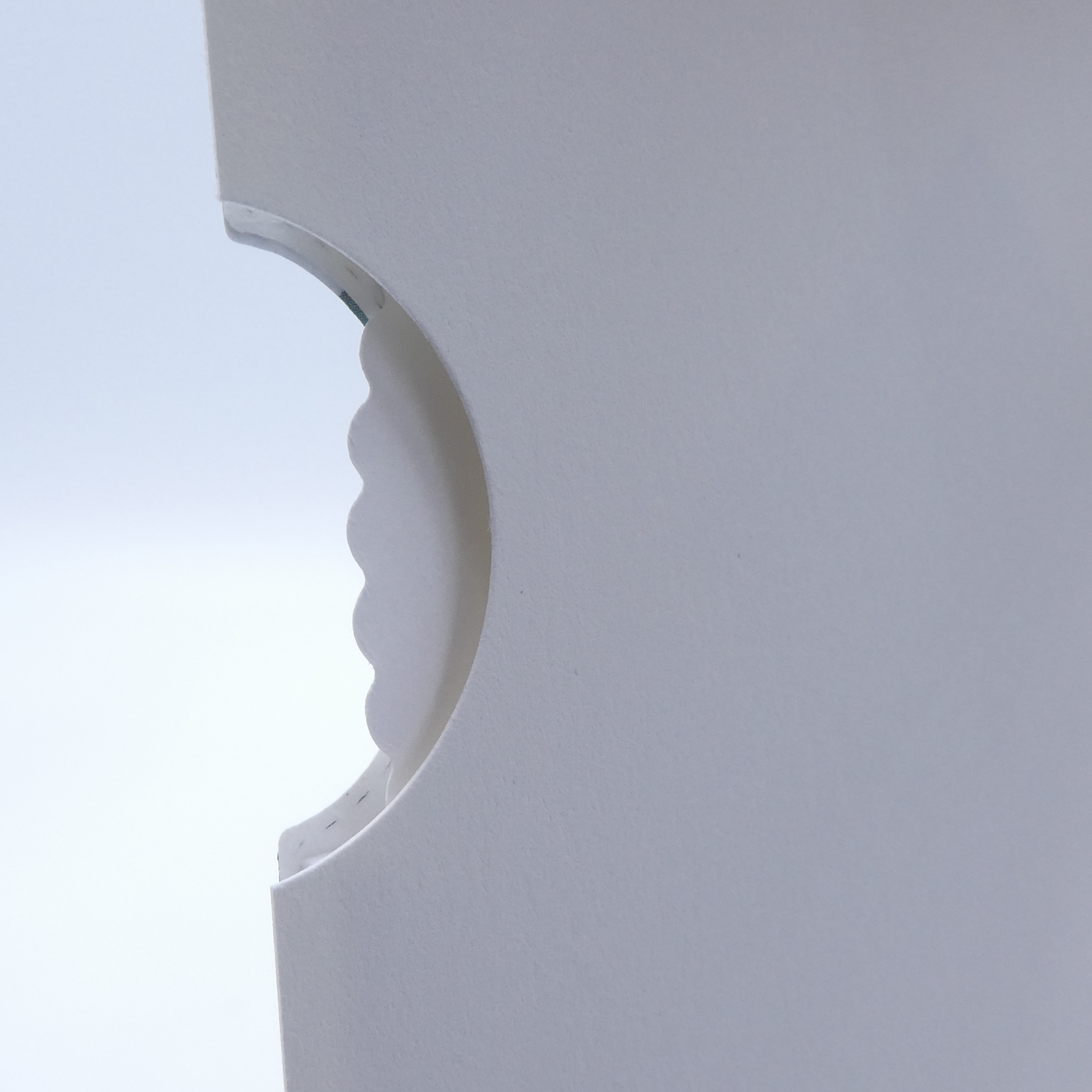 Karin's Papercraft: Gender Reveal Card met de Wel Verdraaid stansen ...