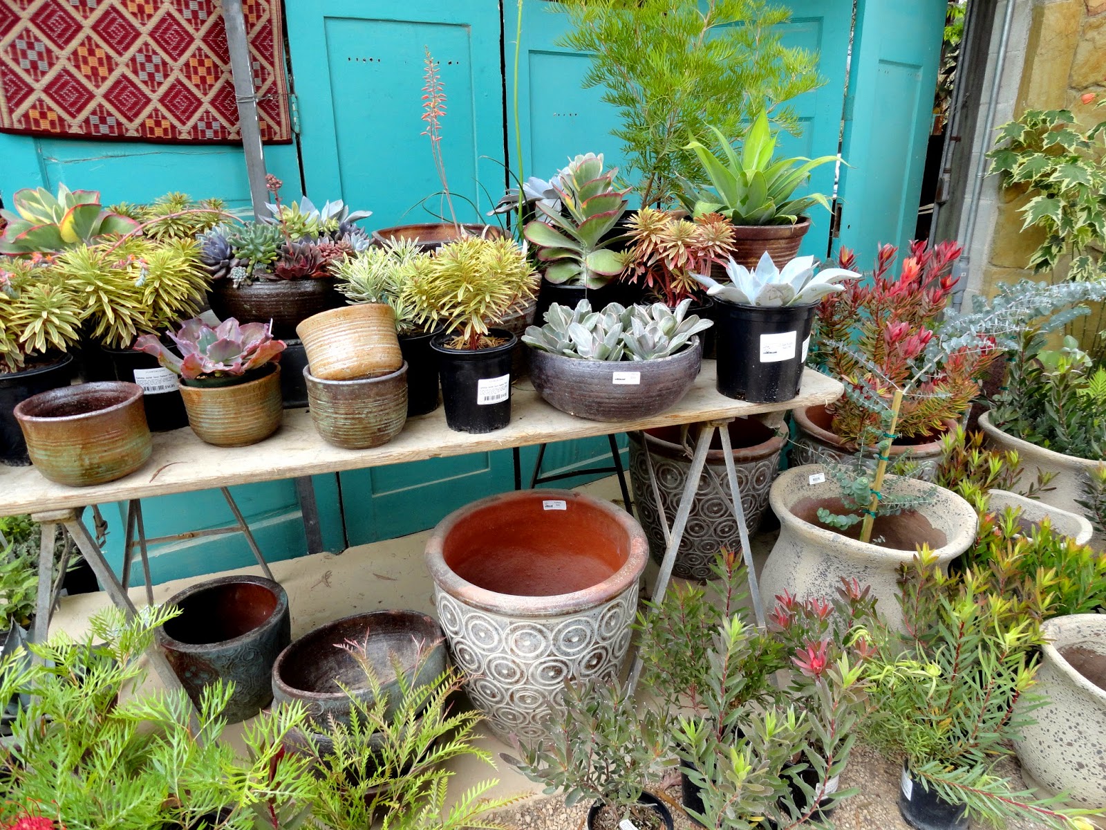 danger garden: Visiting Flowerland...