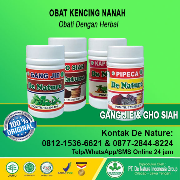 Pengobatan Merk Obat Halal Dan Ampuh Mengobati Buang Air Kecil Sakit ...