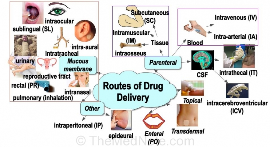 Routes of drug Administration