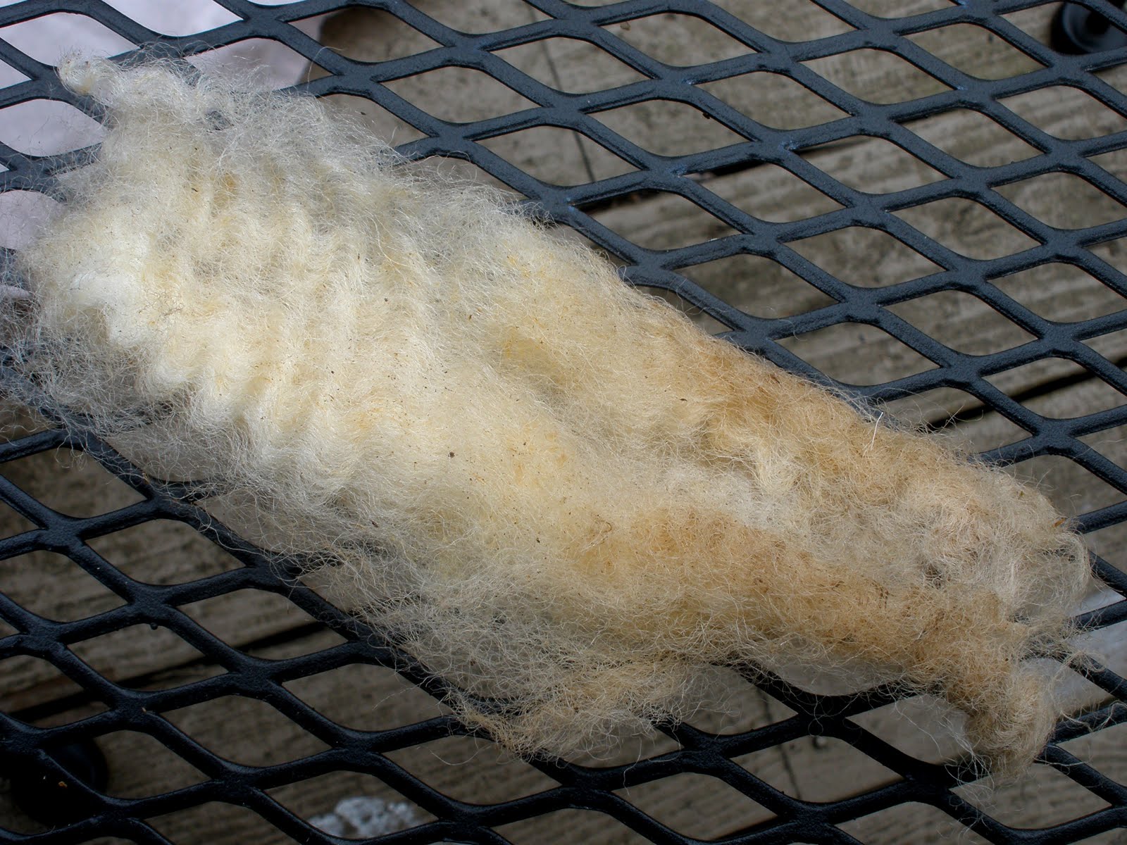 The Fiber Bug: Preparing a Raw Fleece: Flick Carding the Locks