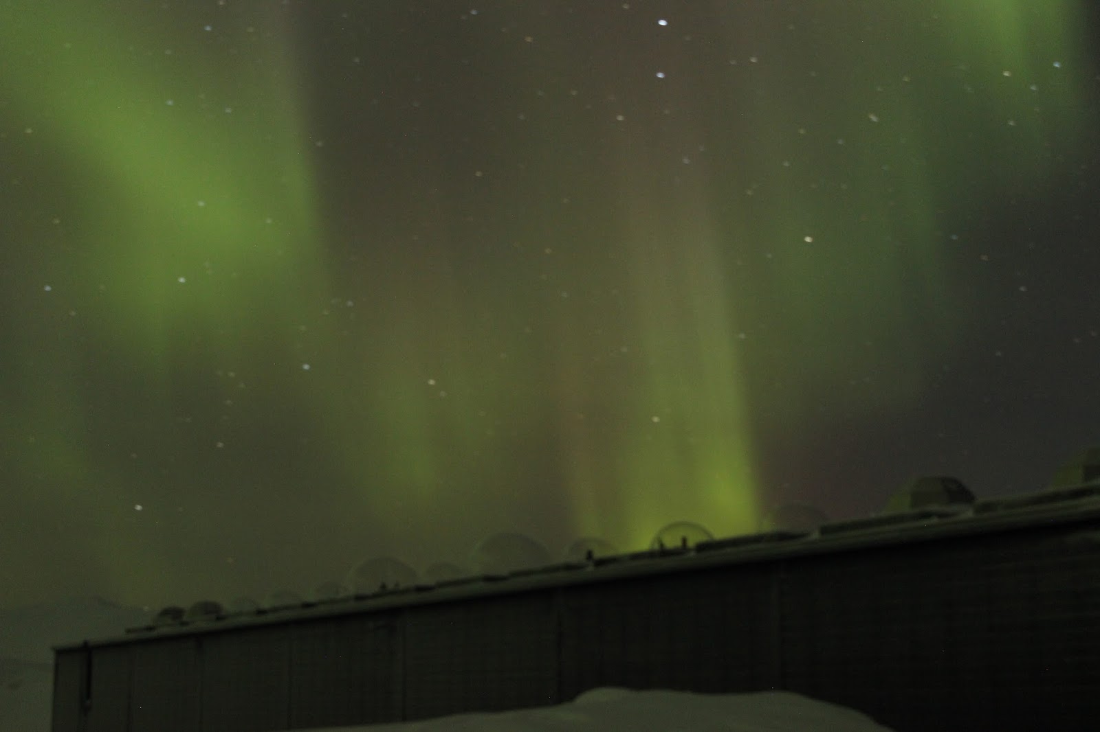 Arctic Life 78° North; aka Land of the Polar Bears: The Kjell Henriksen ...