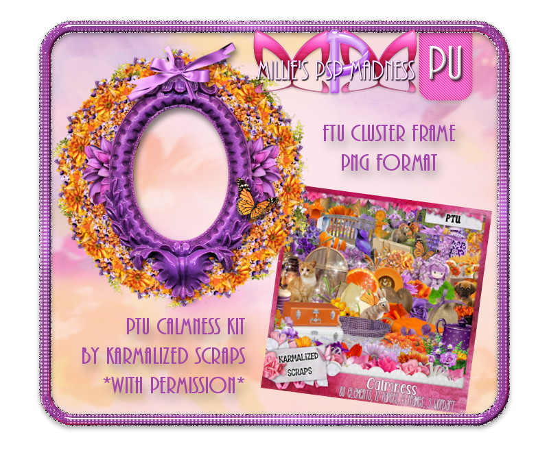 Millie's PSP Madness: FREEBIE CLUSTER FRAME and SNAGGABLE TL SET ...