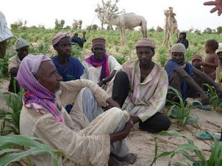 L'histoire des Antilles et de l'Afrique: LE PEUPLE HAOUSSA