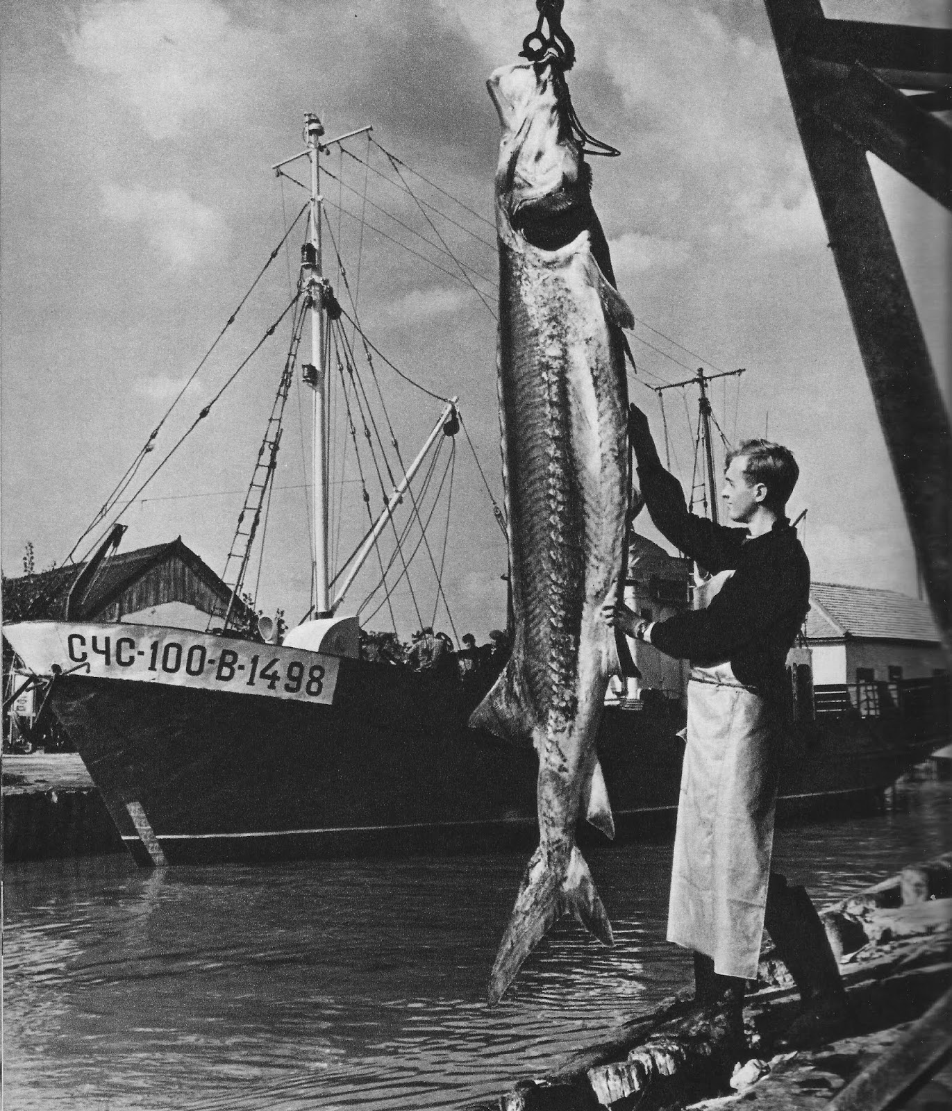 Dunai Szigetek: Fél évszázad a Dunán II. — Budapesttől a Deltáig