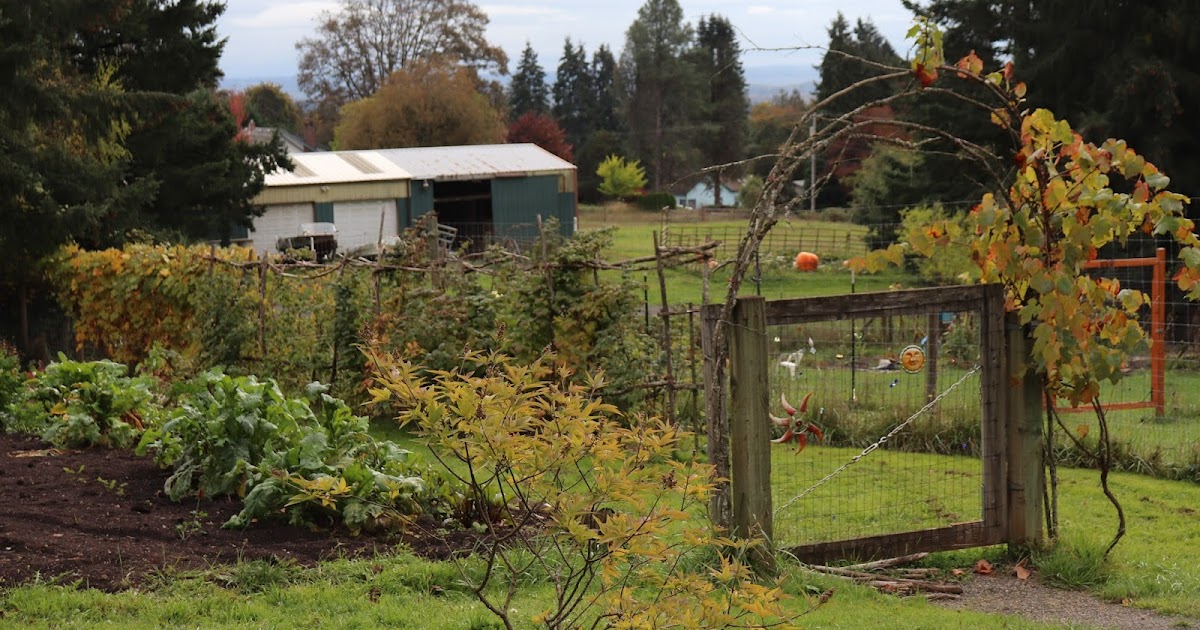 The Color of October