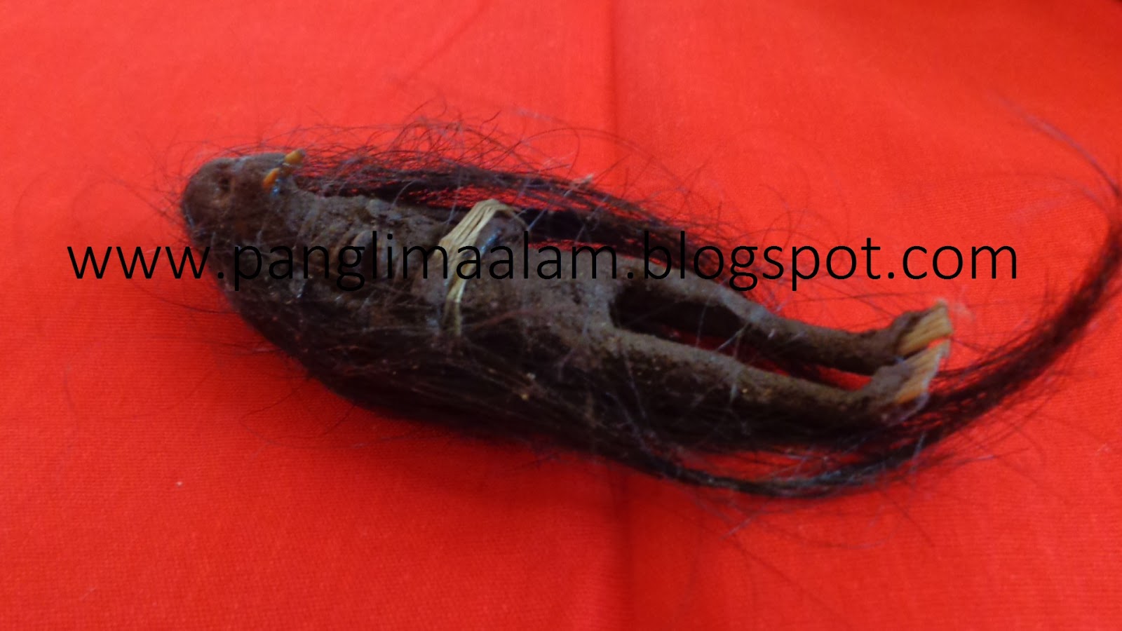 Panglima Alam: Jenglot (Sold Out / Telah ditebus)