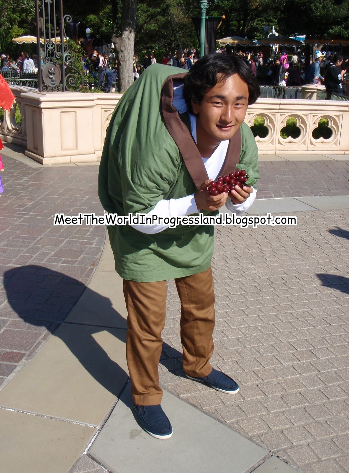 Meet The World: The Hunchback of Notre Dame at Disneyland