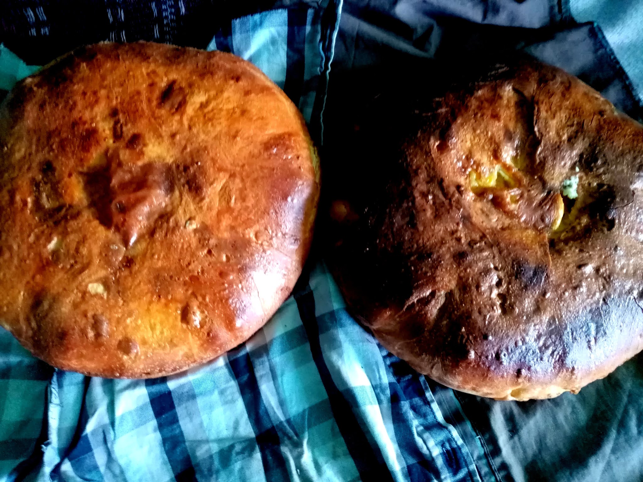 Pizza și cocorada cu branza