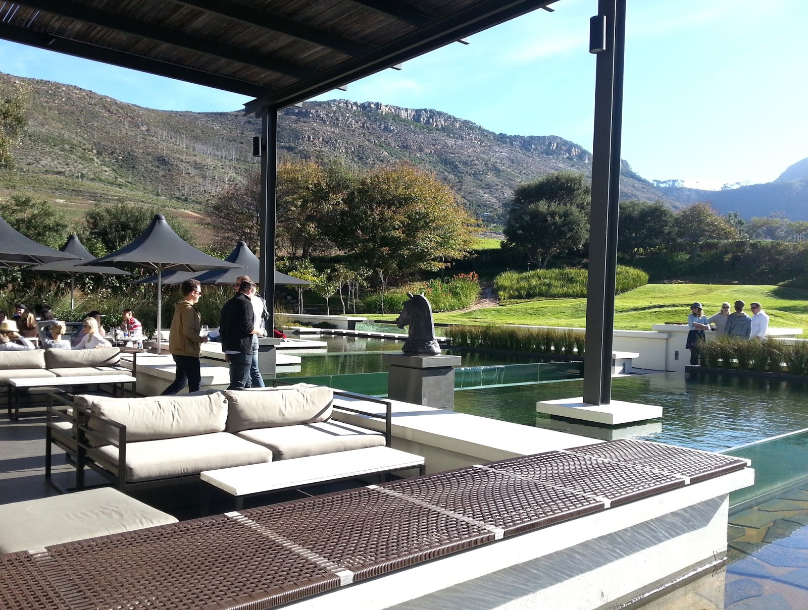 A Good Year: Steenberg Wine Farm, Constantia
