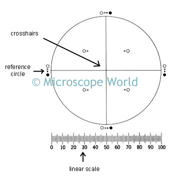 Microscope World Blog: IMA/USP Microscope Counting Reticle