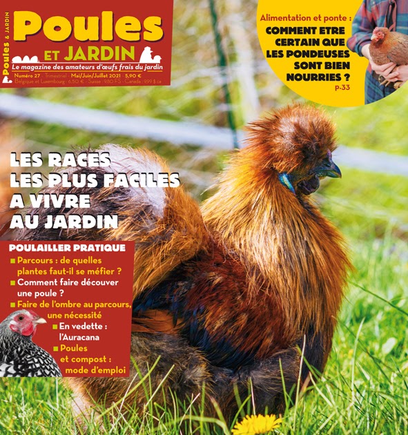 Poules et jardin