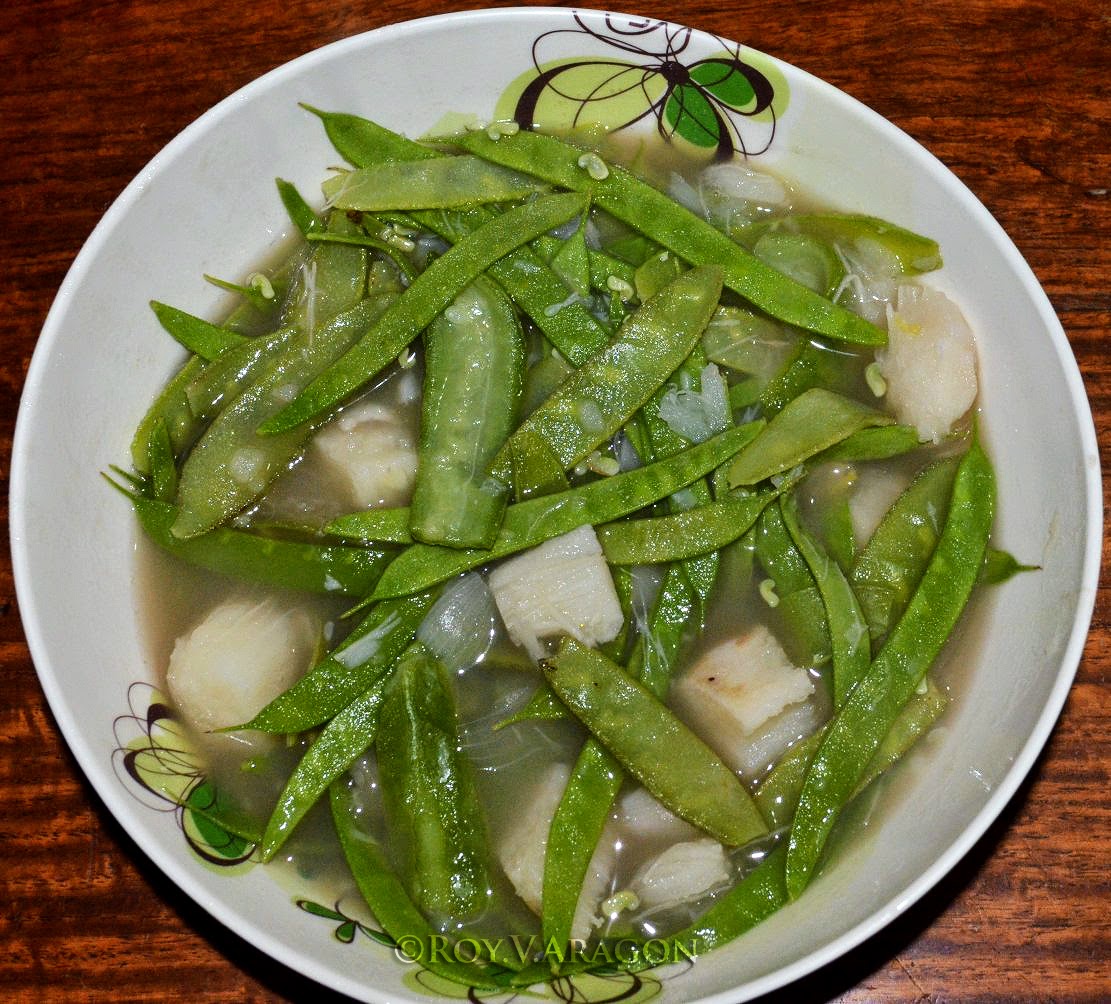 dinengdeng/baradibud a kamangeg, samsamping, parda ken kabatiti; wild ...