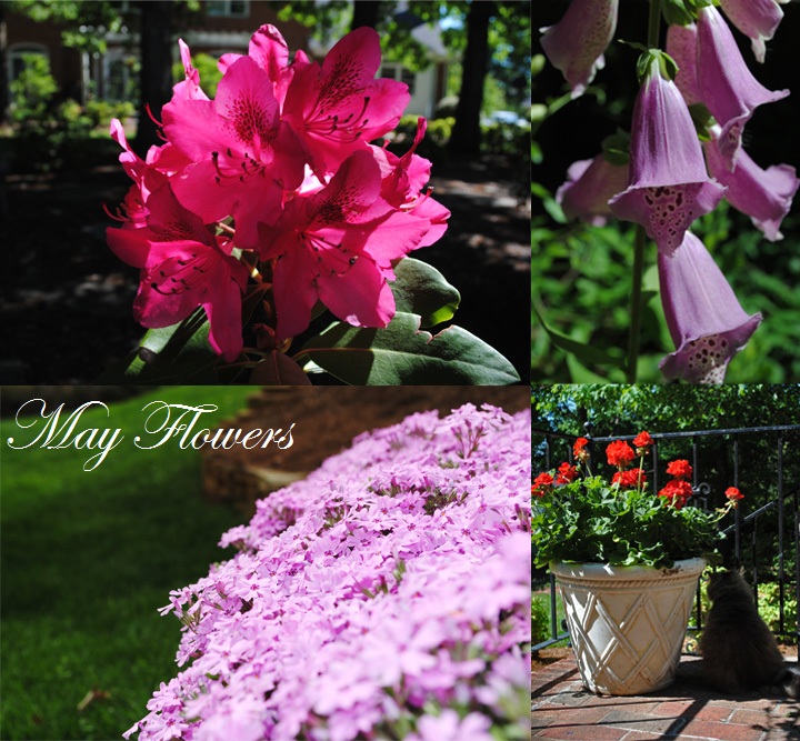 May Flowers - Southern Curls & Pearls