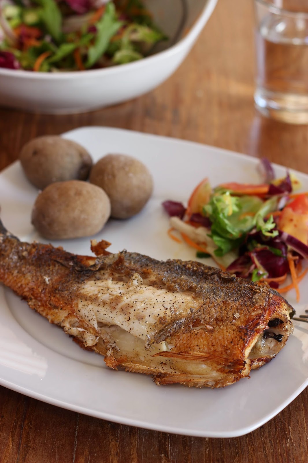 Zeebaars - Dishcover